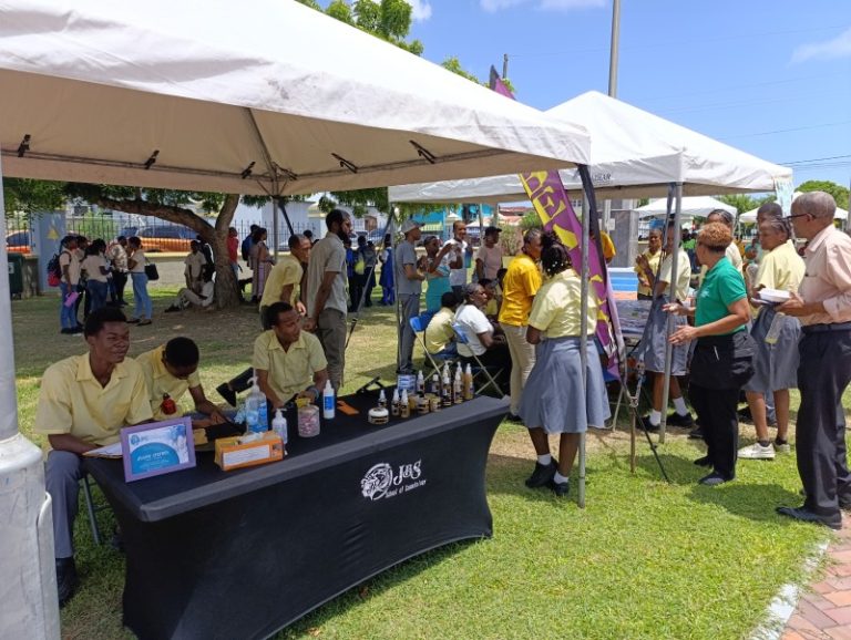 WDC Career Fair Successfully Implemented – Workforce Development Centre ...